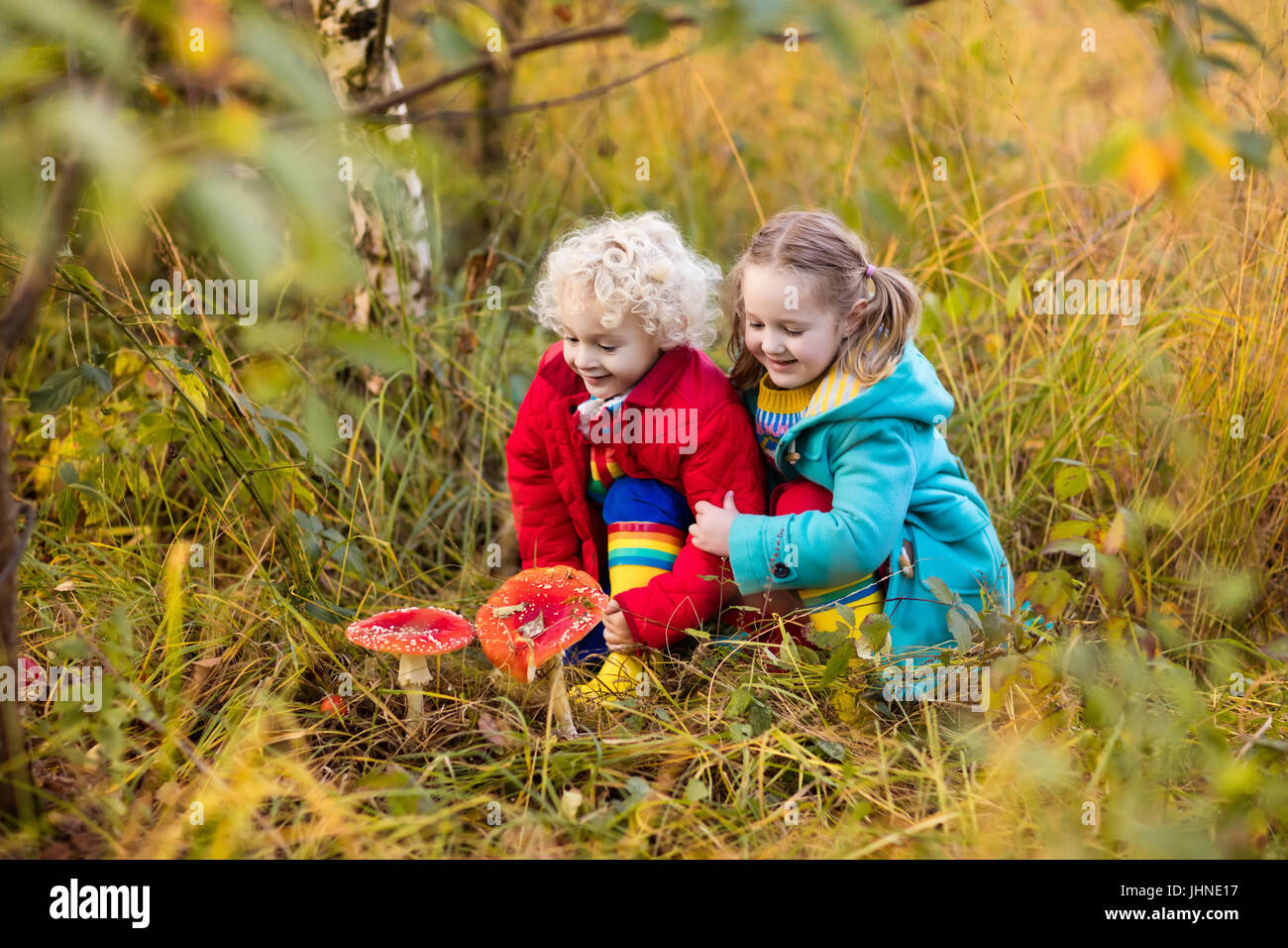 Happy laughing kids play in beautiful sunny autumn park. Little boy and ...