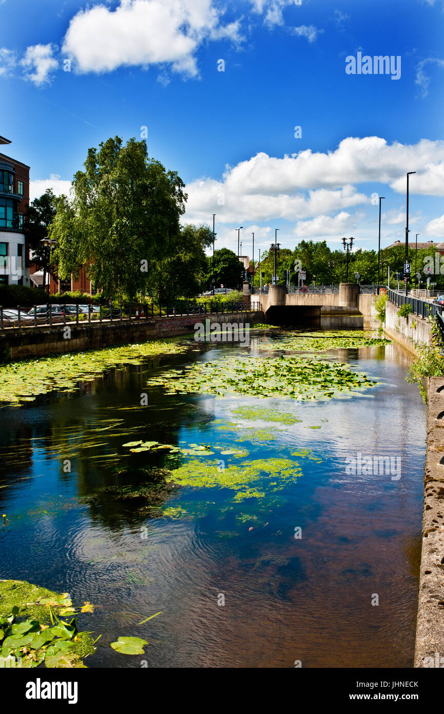 River Foss, Foss Island, York Stock Photo - Alamy