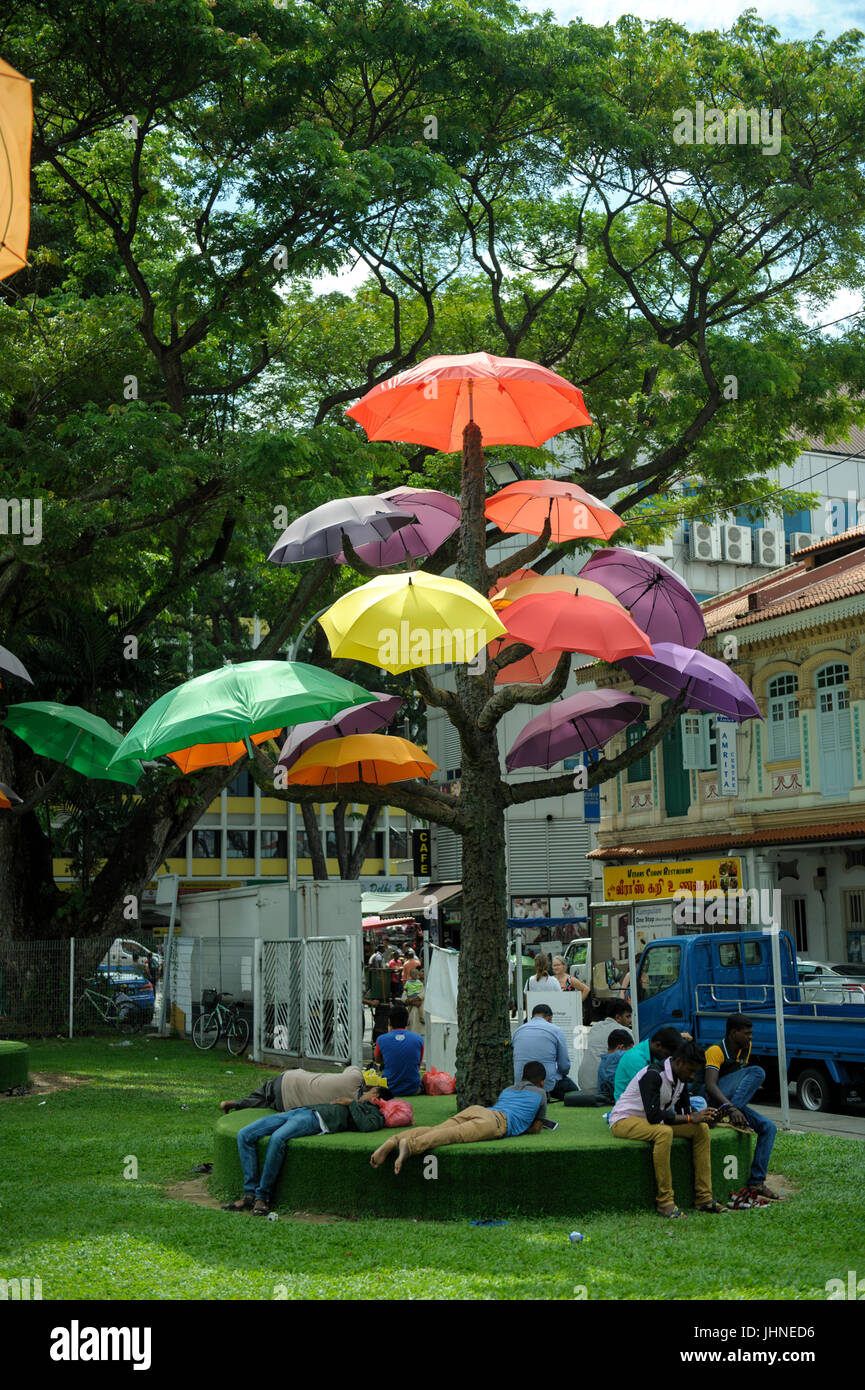 Public art installation with different coloured umbrellas "growing ...