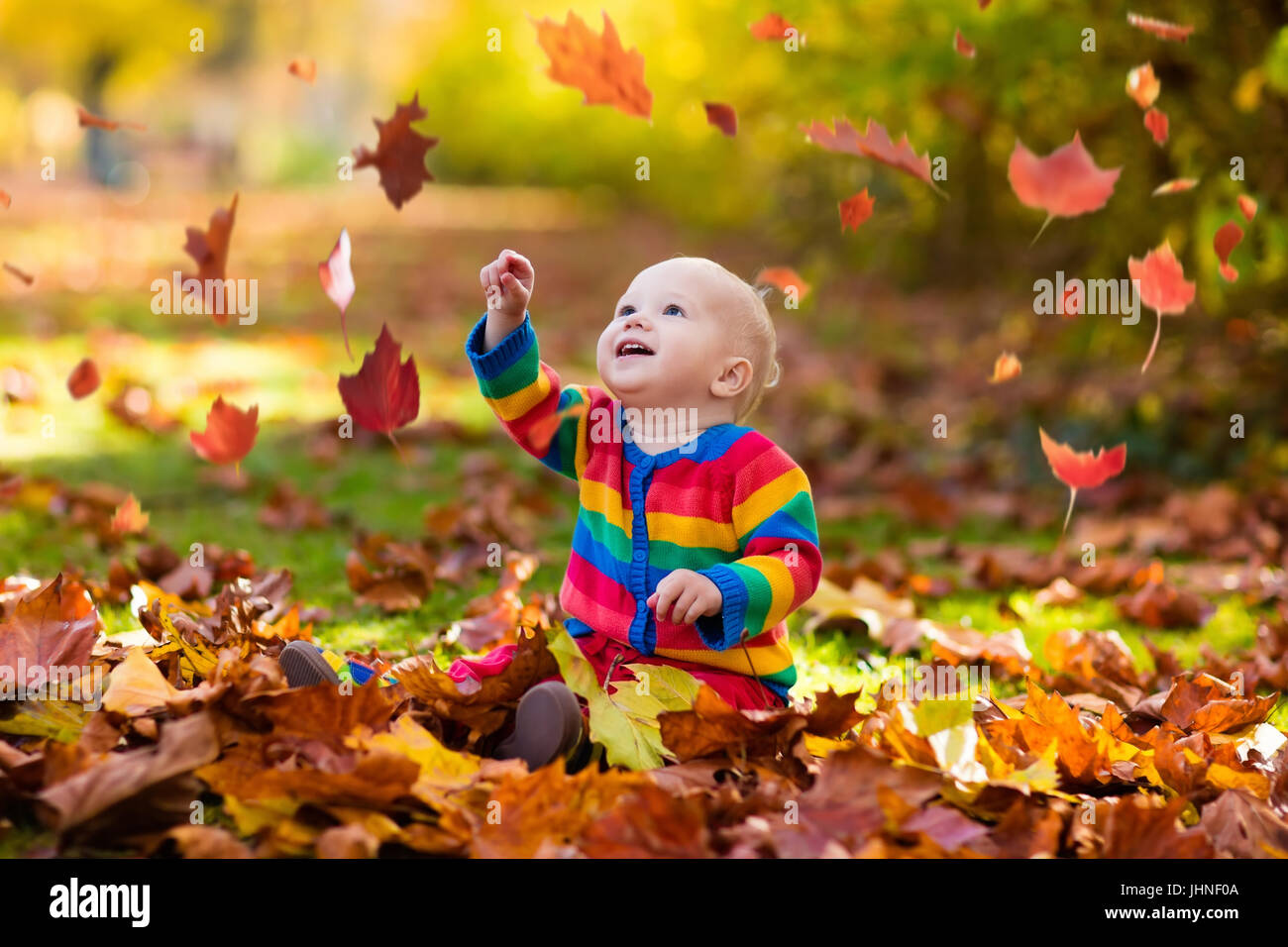 Kids play in autumn park. Children throwing yellow and red leaves.Baby ...
