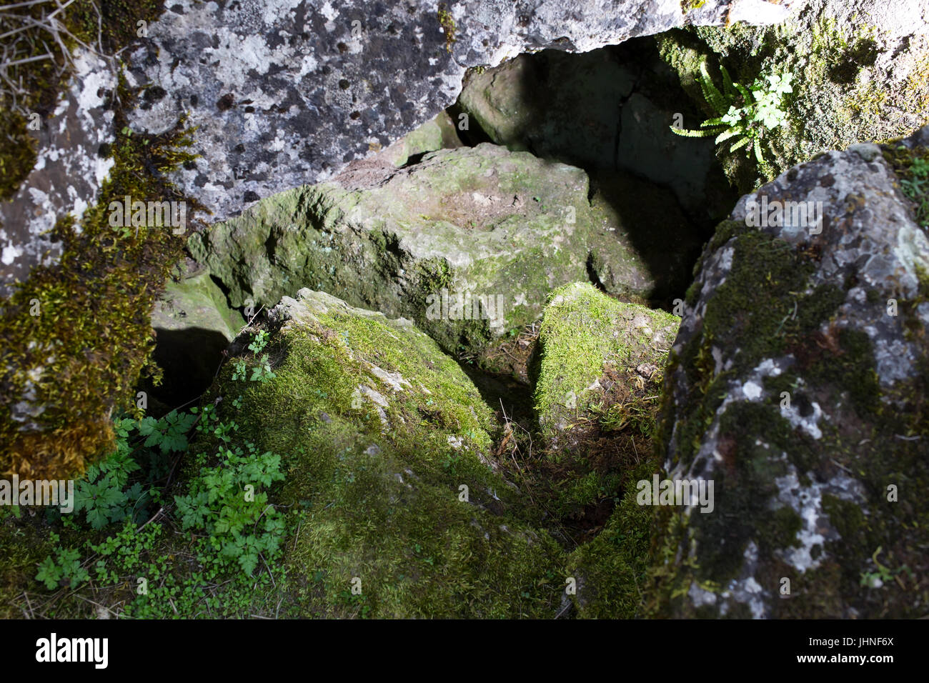 Little cave with stones and moss Stock Photo - Alamy