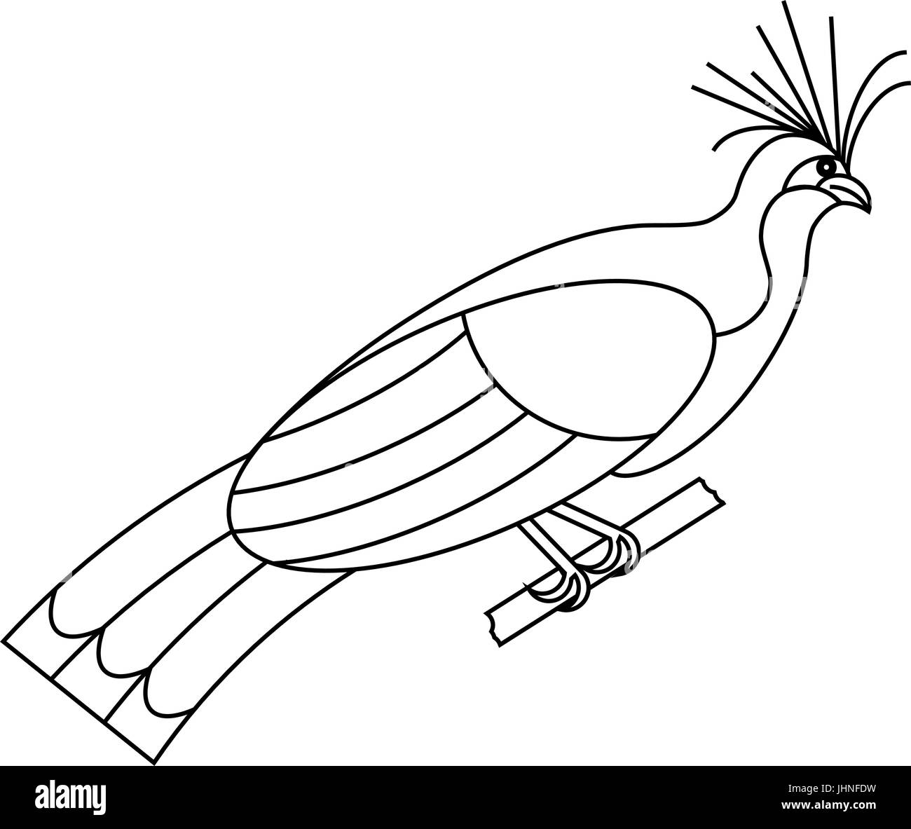 Tropical bird hoatzin. Outline flat style. Isolated on white Stock ...