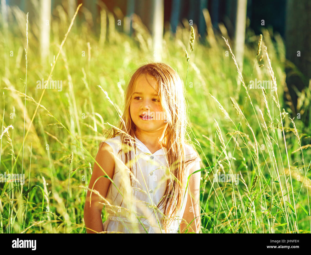 Cute little preschooler girl portrait in sunset forest with warm ...