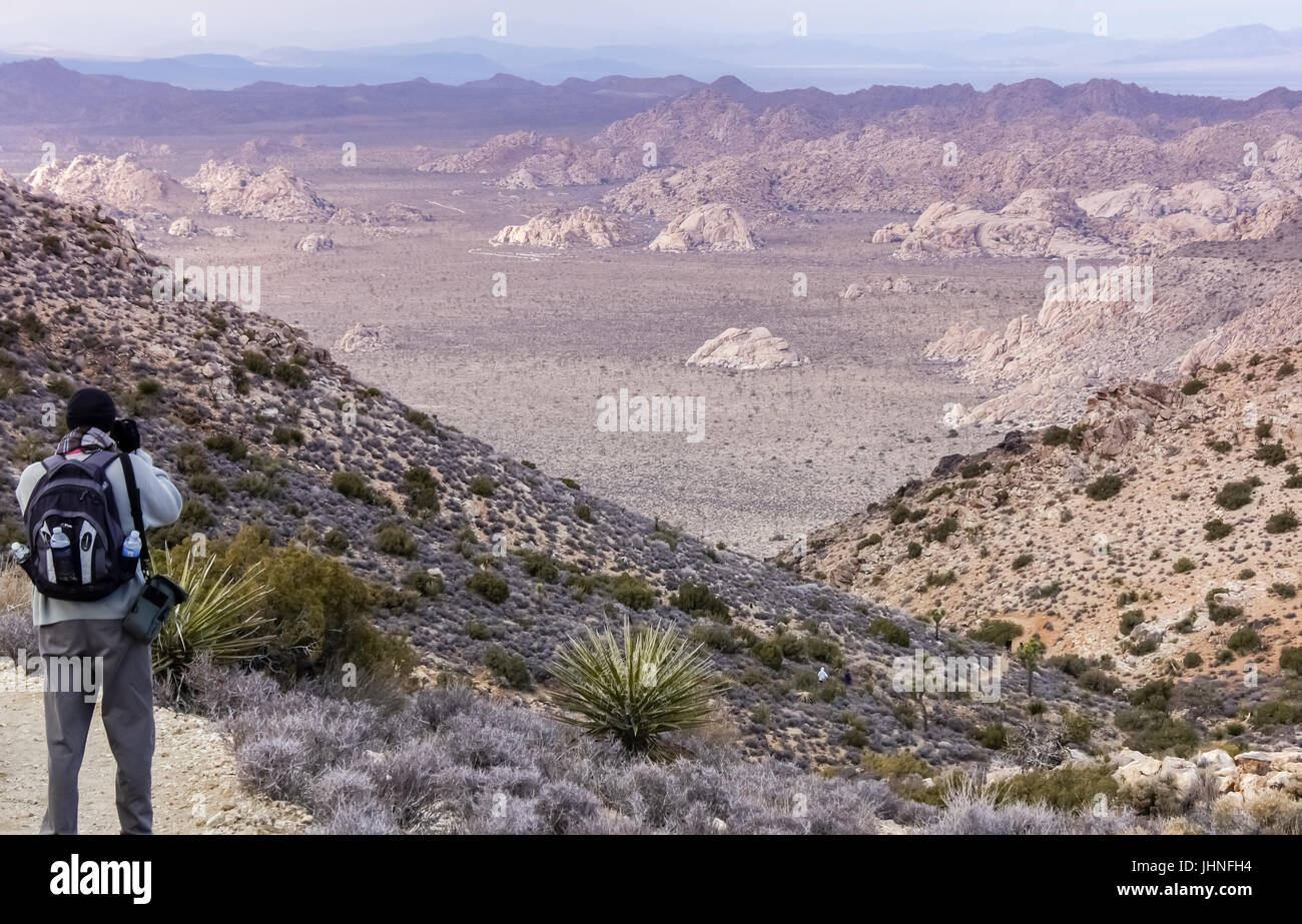 Pinto basin hi-res stock photography and images - Alamy