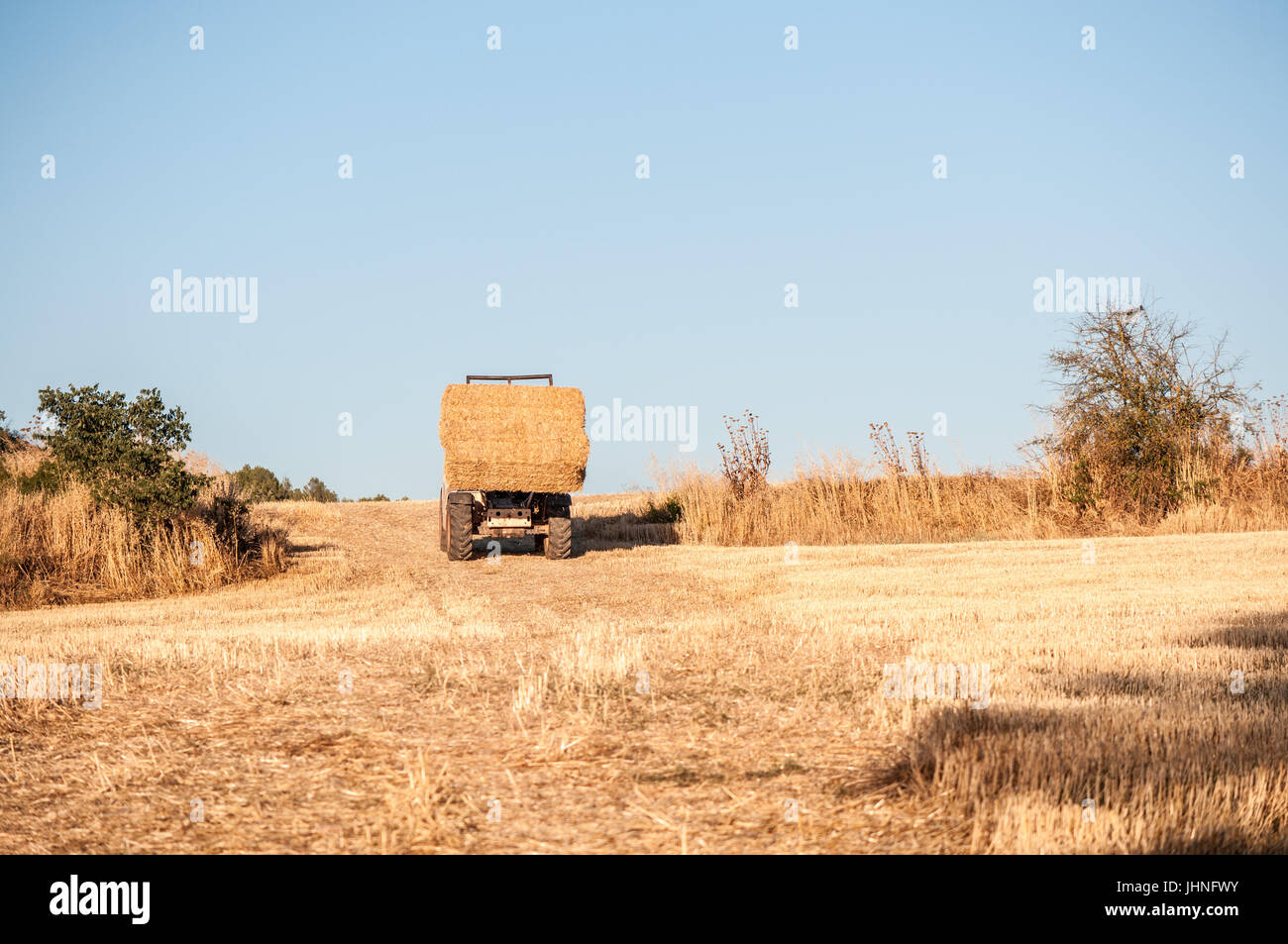 Tractor carrying a straw bale in a summer day Stock Photo - Alamy