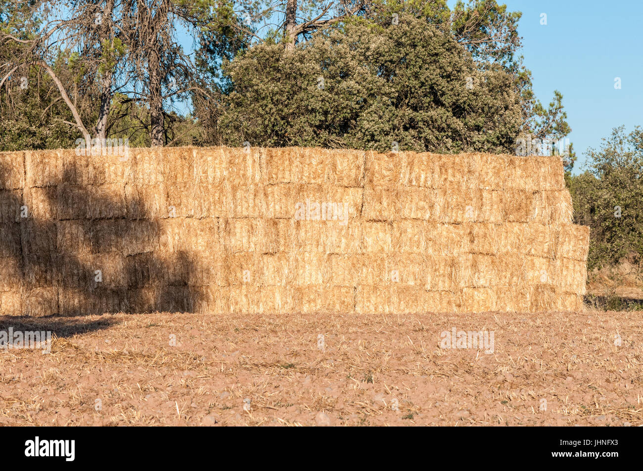 Straw bales stacked in a field Stock Photo - Alamy