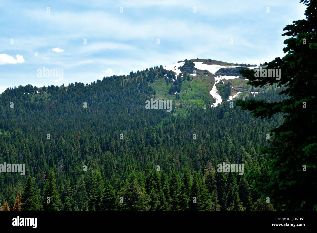 Modoc national forest hi-res stock photography and images - Alamy