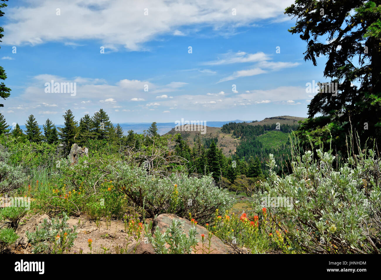 Modoc national forest hi-res stock photography and images - Alamy