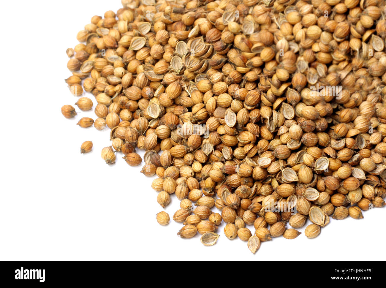 Fresh Coriander seeds on white background Stock Photo - Alamy