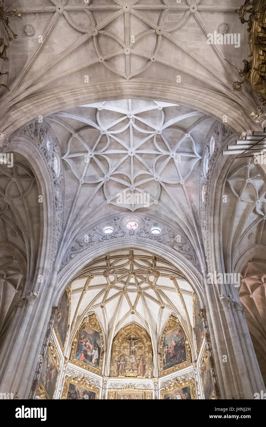Interior of Cathedral of the incarnation, detail of vault formed by ...