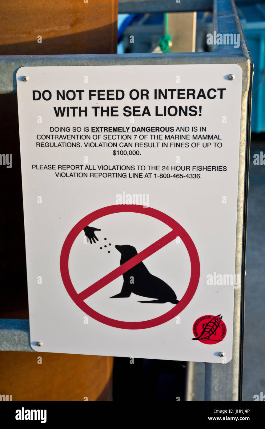 steveston, BC- Sign warning not to feed or interact with sea lions. A ...