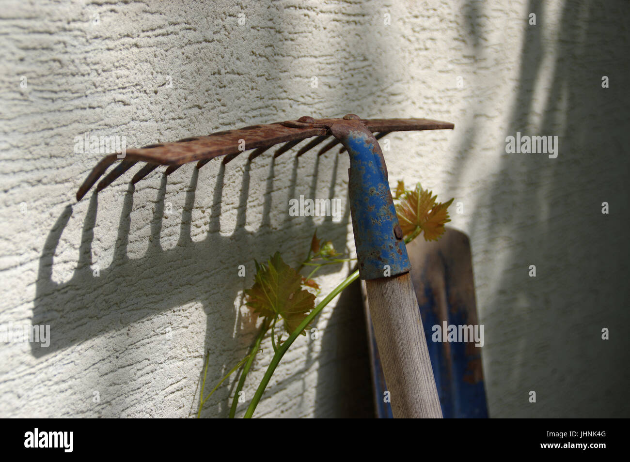 Old rusty garden rake on light yellow parget wall. Traditional ...