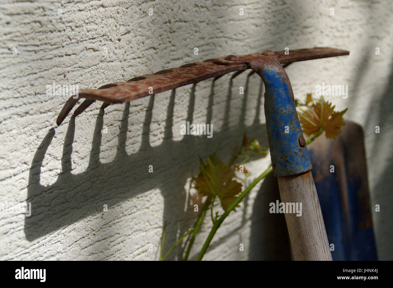 Old rusty garden rake on light yellow parget wall. Traditional ...