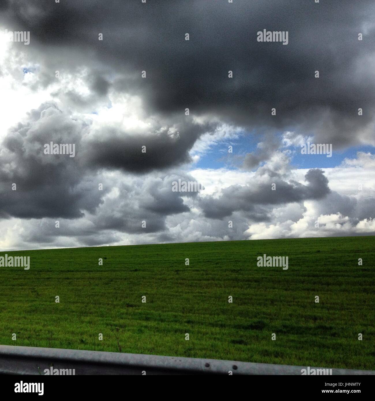 Italy, Lazio region, Pontina Street, the lawn Credit © Anna Retico ...