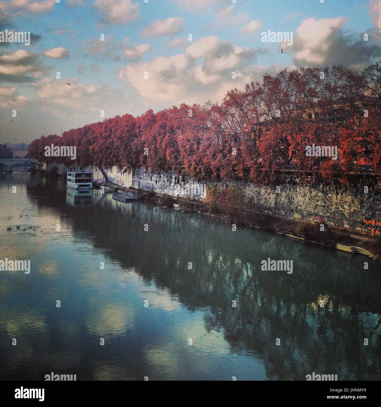 Rome, river Tevere, Lungotevere, trees Credit © Anna Retico/Sintesi ...