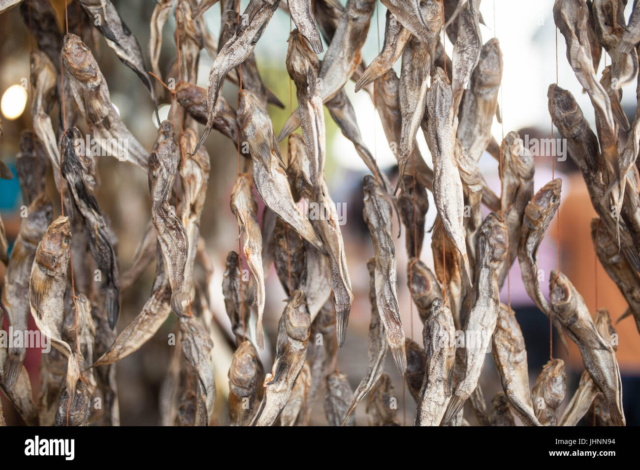 Many Dried salt Small fish background texture Stock Photo - Alamy