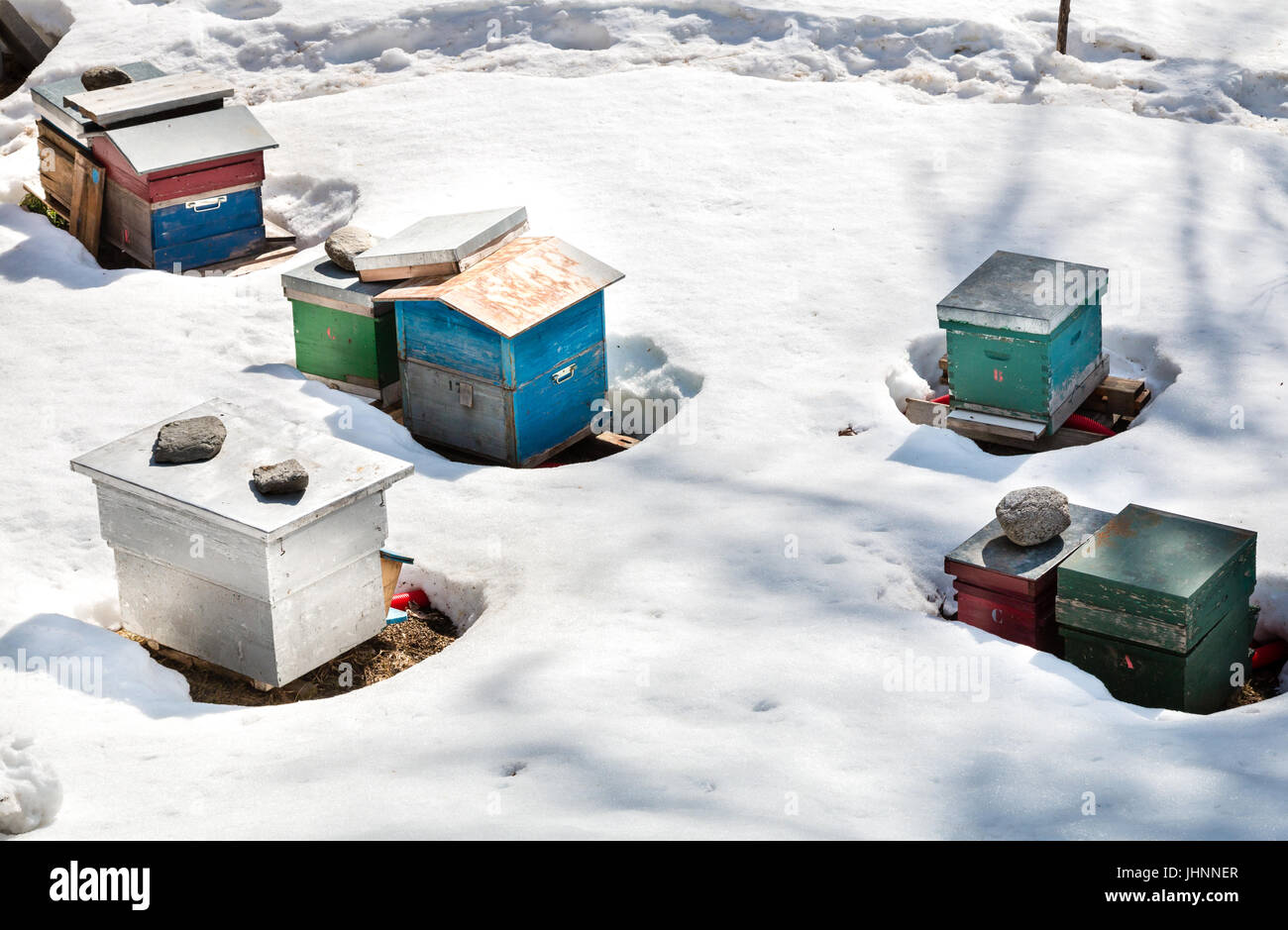 Beehives in winter on a sunny day surrounded by snow Stock Photo - Alamy