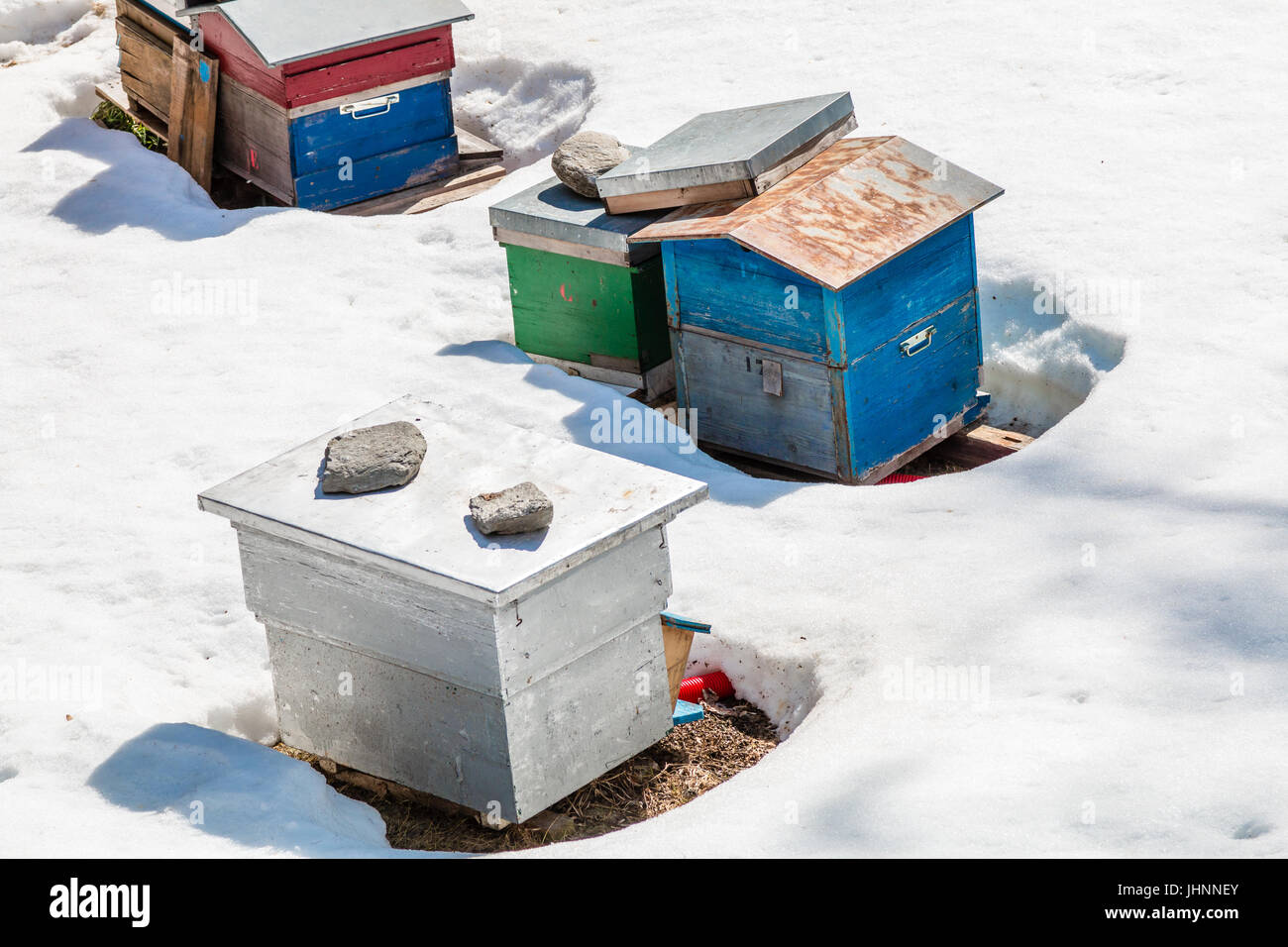 Beekeeping in winter. The Bee yard or apiary is covered in snow. The ...
