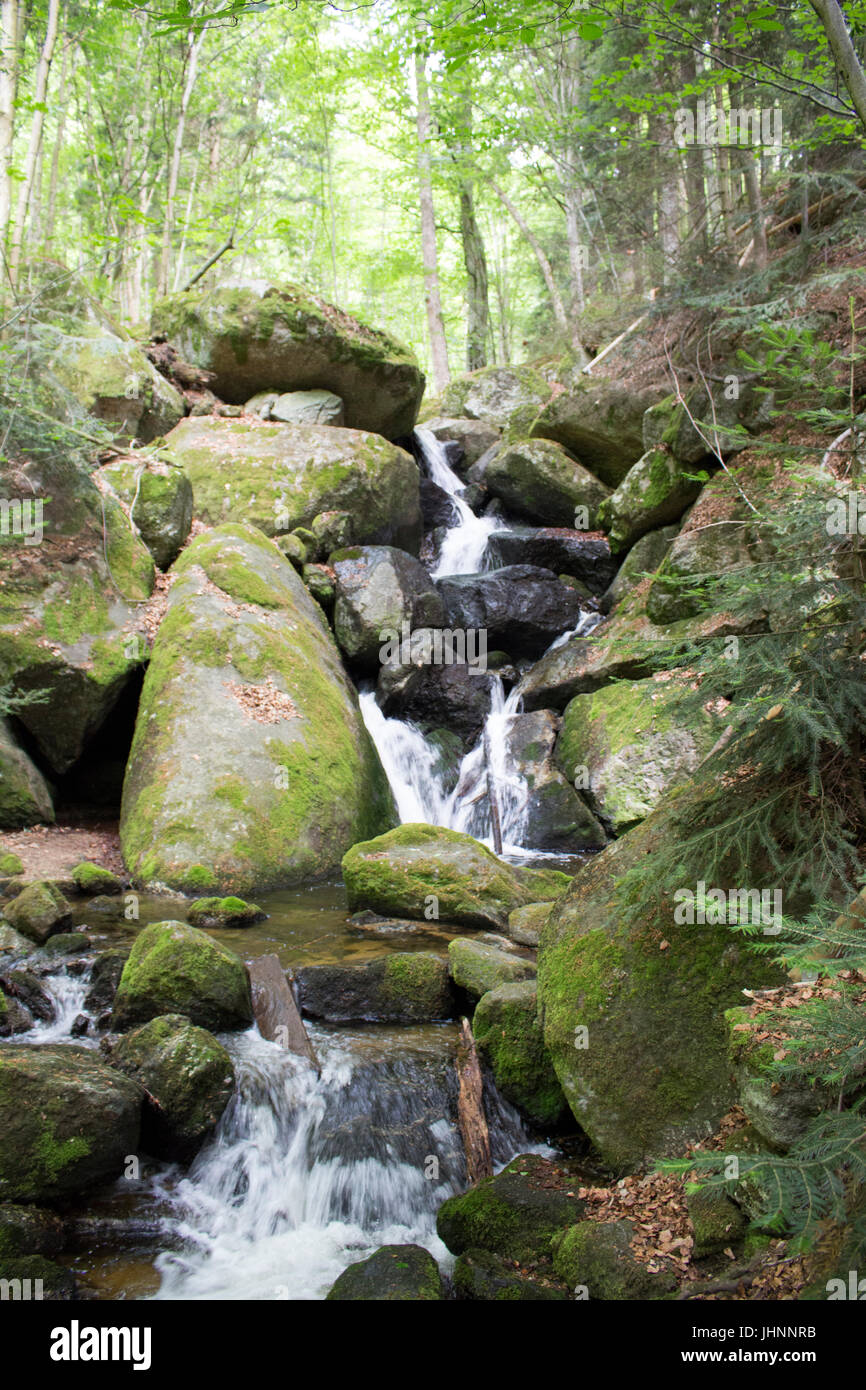 Enjoying the view while hiking through a ravine Stock Photo - Alamy