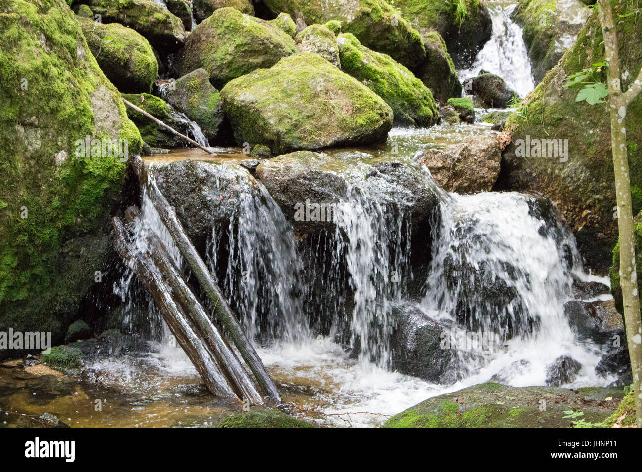 Enjoying the view while hiking through a ravine Stock Photo - Alamy