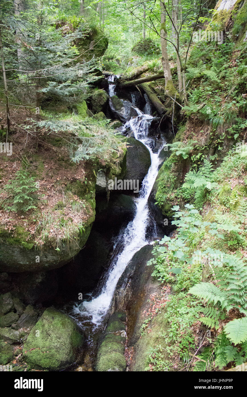 Enjoying the view while hiking through a ravine Stock Photo - Alamy
