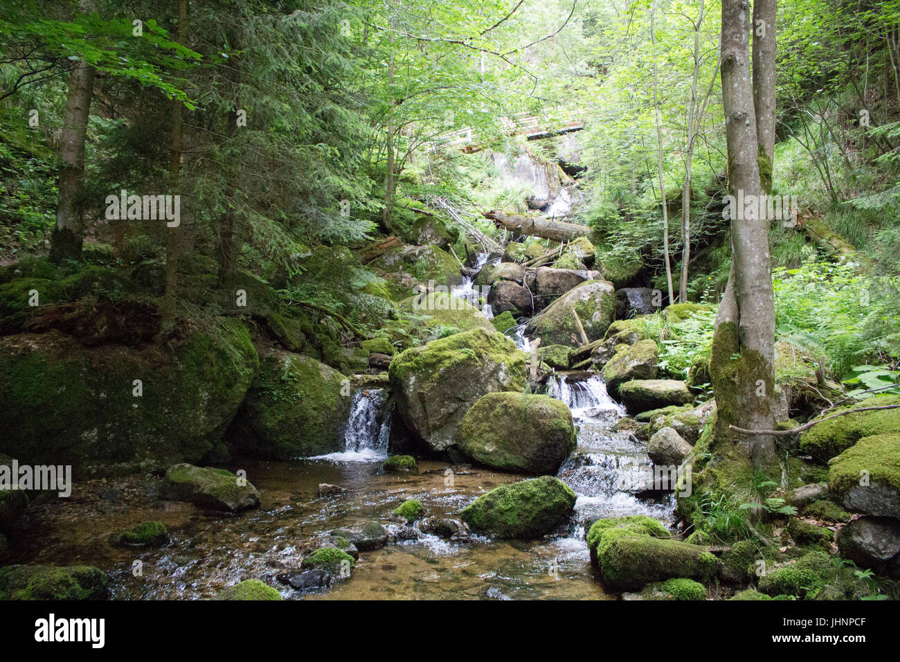 Enjoying the view while hiking through a ravine Stock Photo - Alamy
