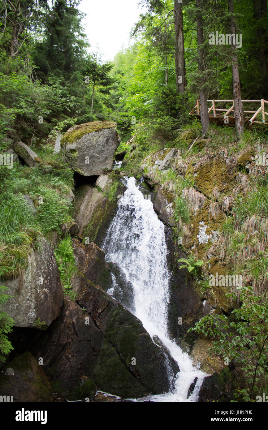 Enjoying the view while hiking through a ravine Stock Photo - Alamy