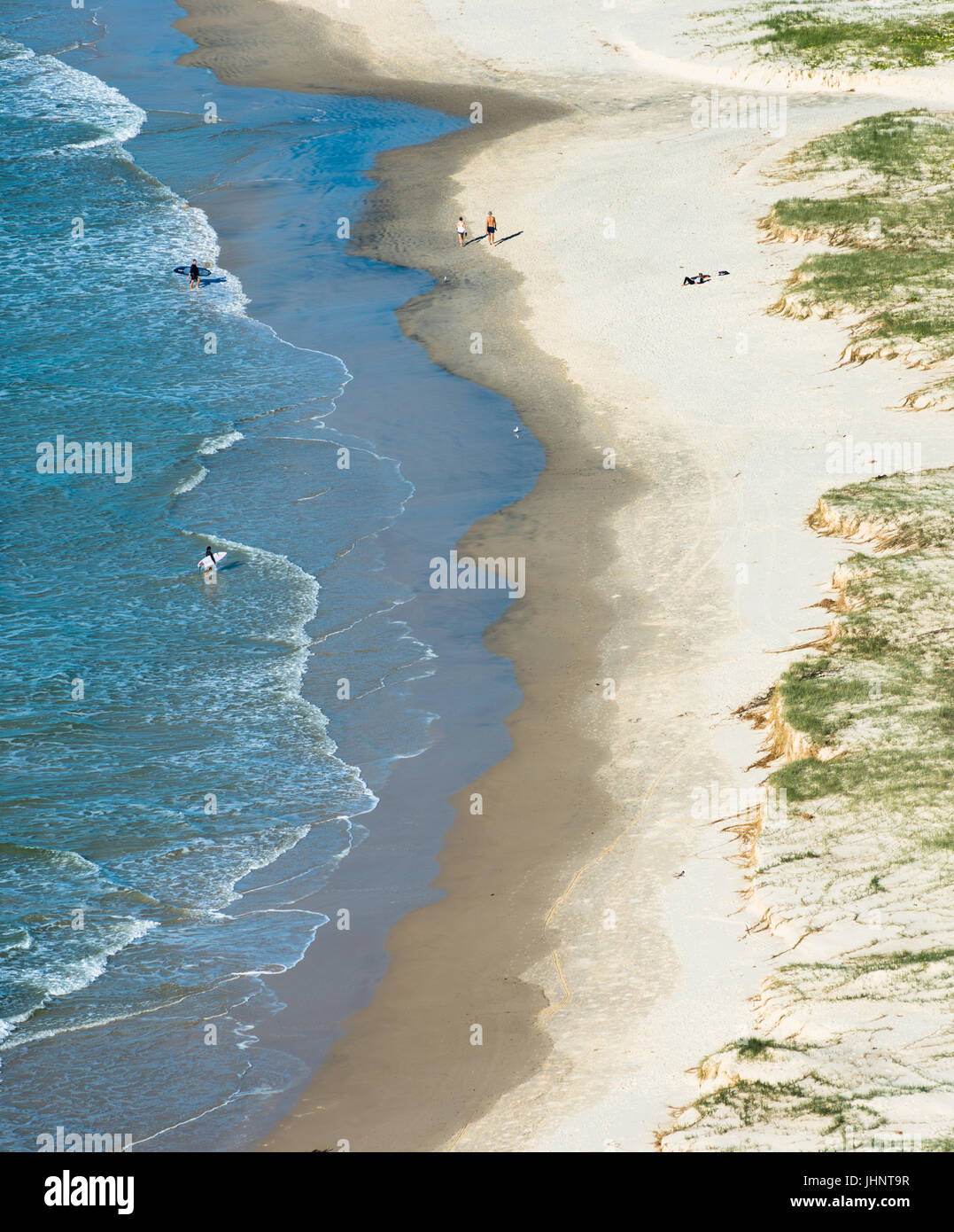 Tallow hi-res stock photography and images - Alamy