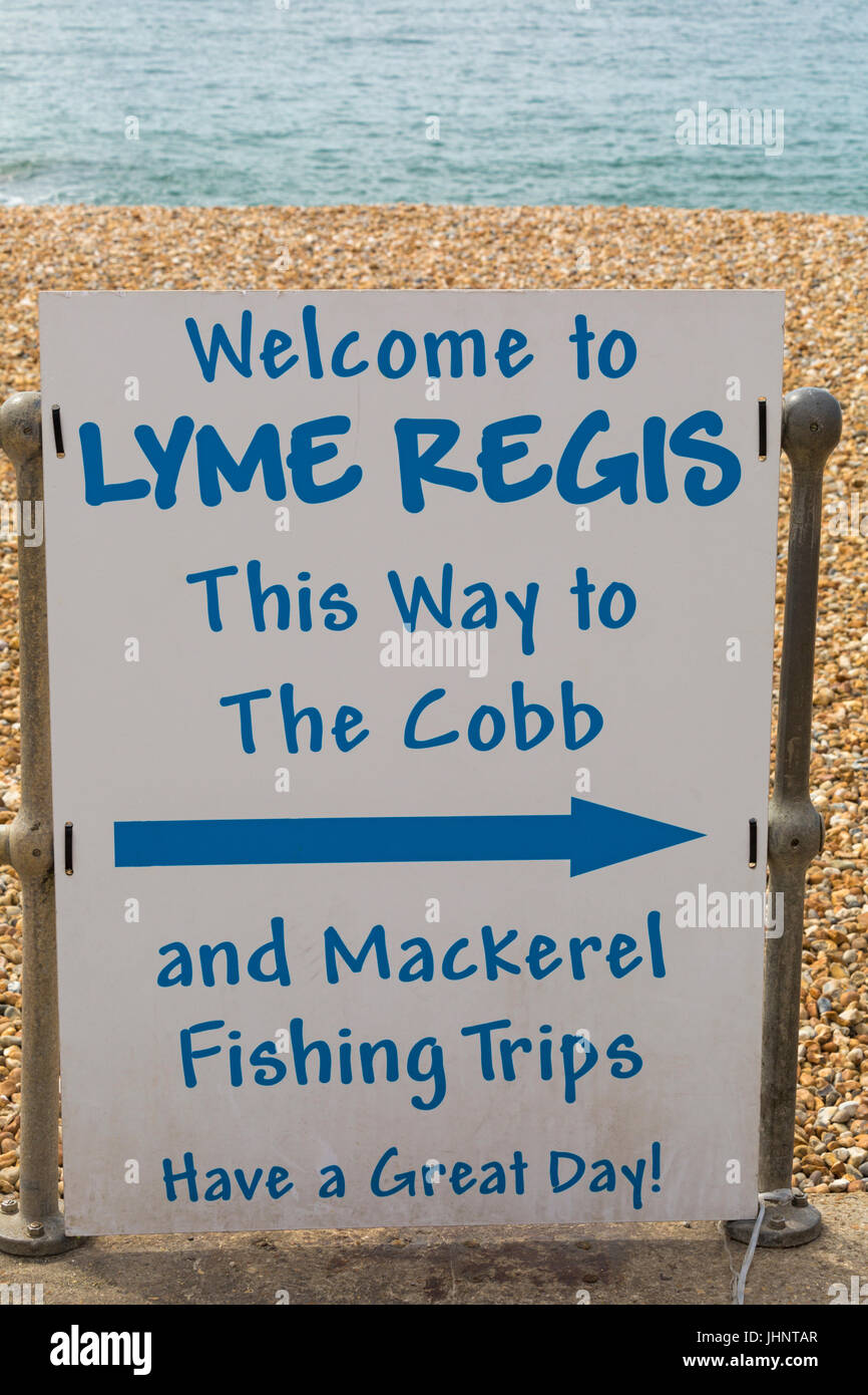 Lyme regis tourist information hi-res stock photography and images - Alamy