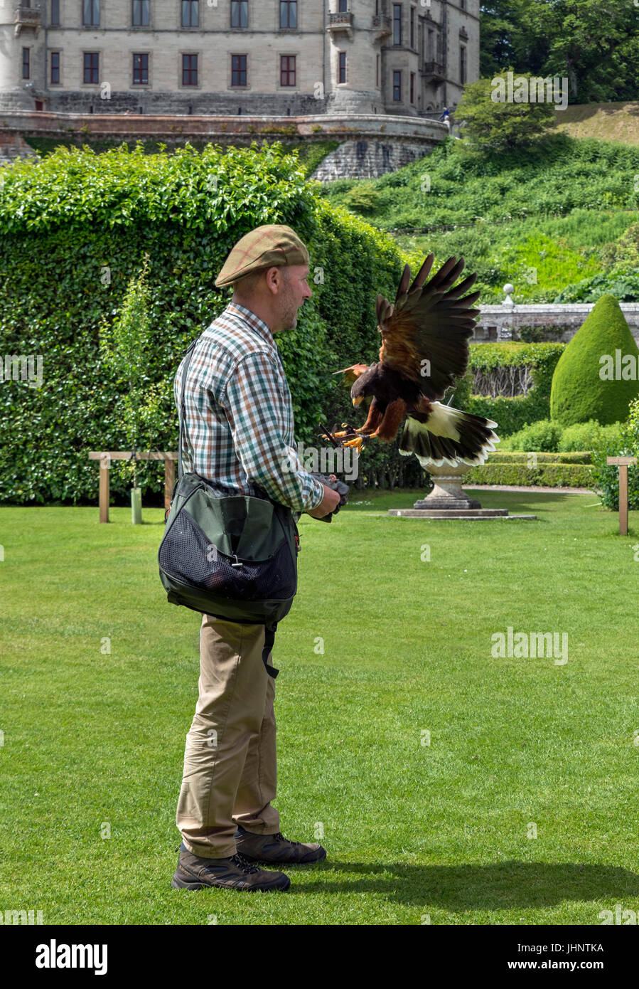 Falconry castle hi-res stock photography and images - Alamy