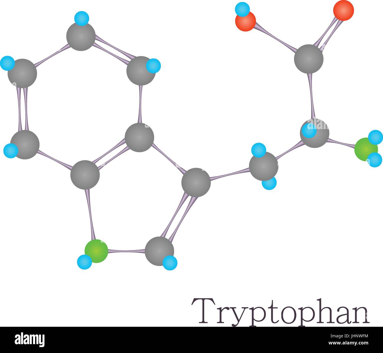 Tryptophan 3D molecule chemical science Stock Vector Image & Art - Alamy