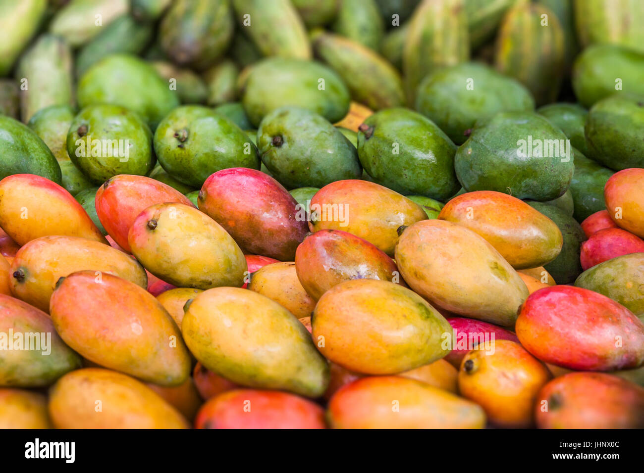 Mature mango hi-res stock photography and images - Alamy
