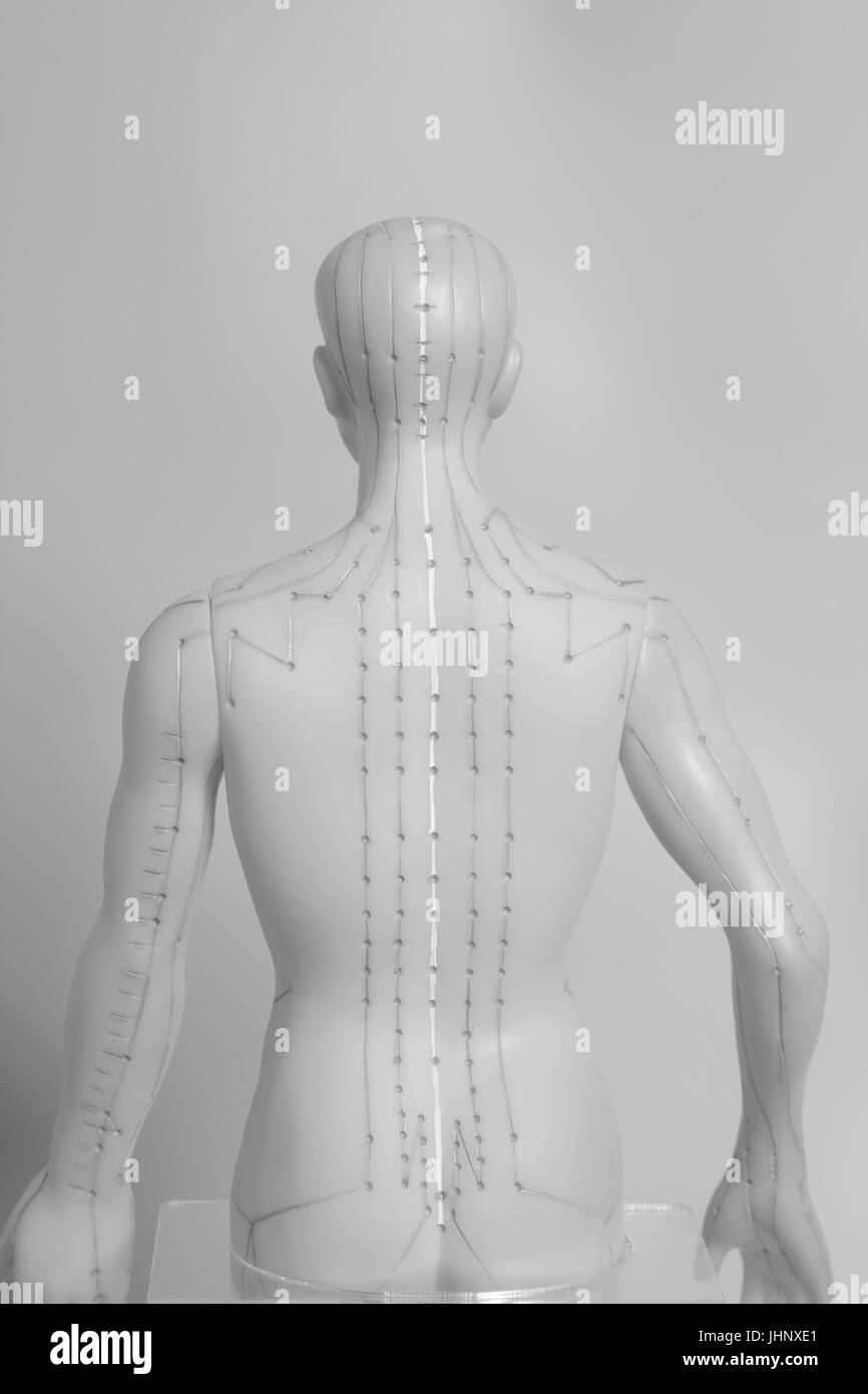 Medical acupuncture model of human on gray background Stock Photo - Alamy