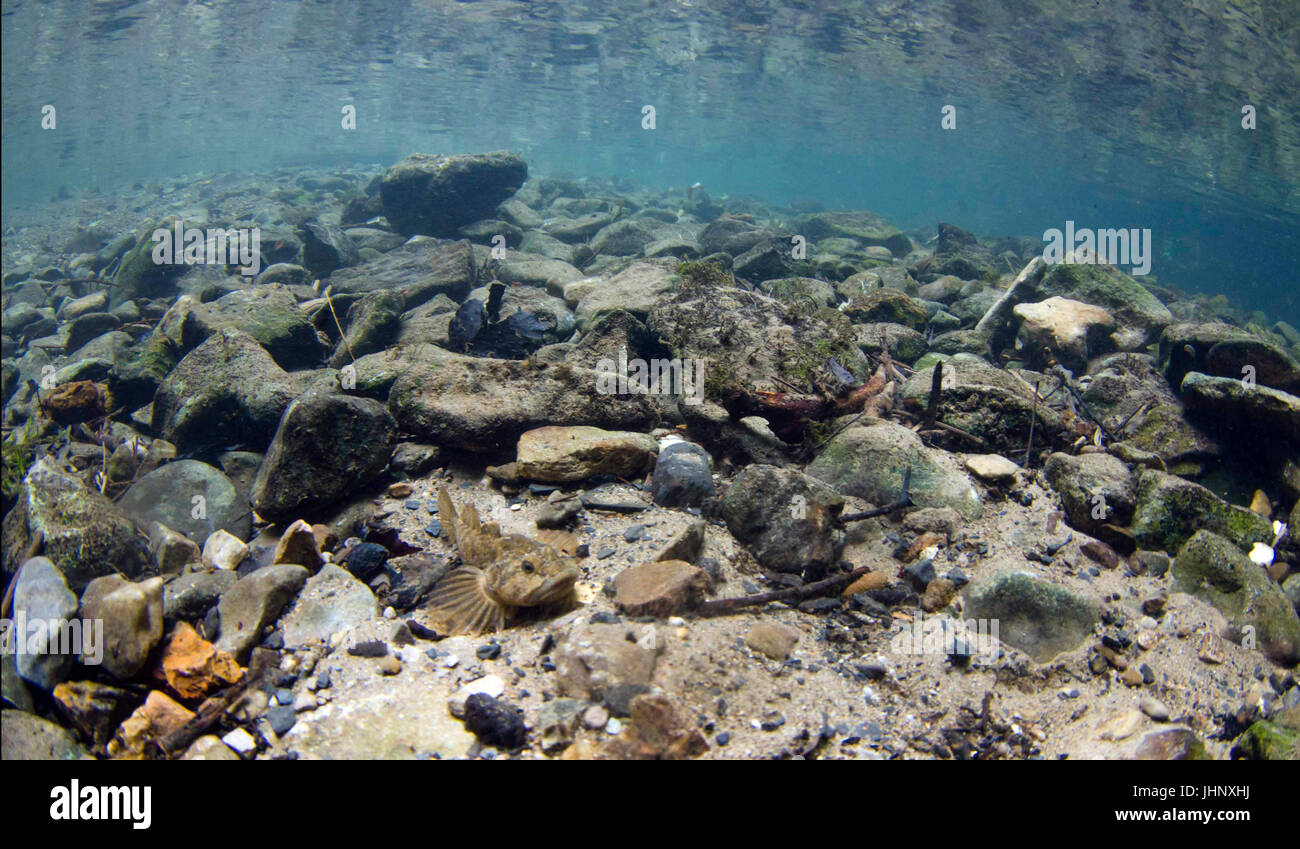 Riverbed underwater hi-res stock photography and images - Alamy