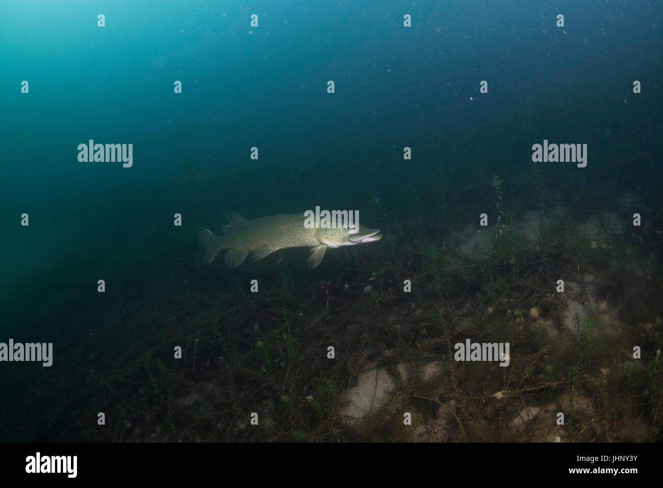 Dosthill Stock Photos & Dosthill Stock Images - Alamy