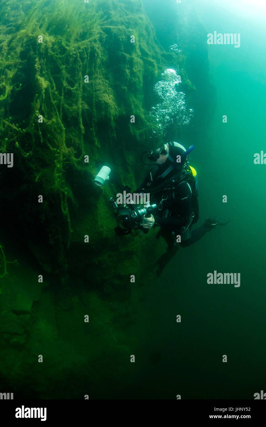 Dosthill hi-res stock photography and images - Alamy