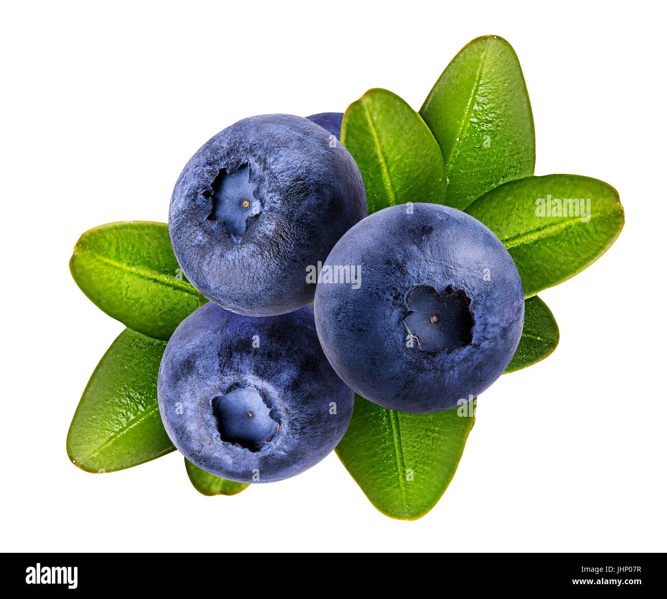 bilberry, blueberries isolated on white background Stock Photo - Alamy