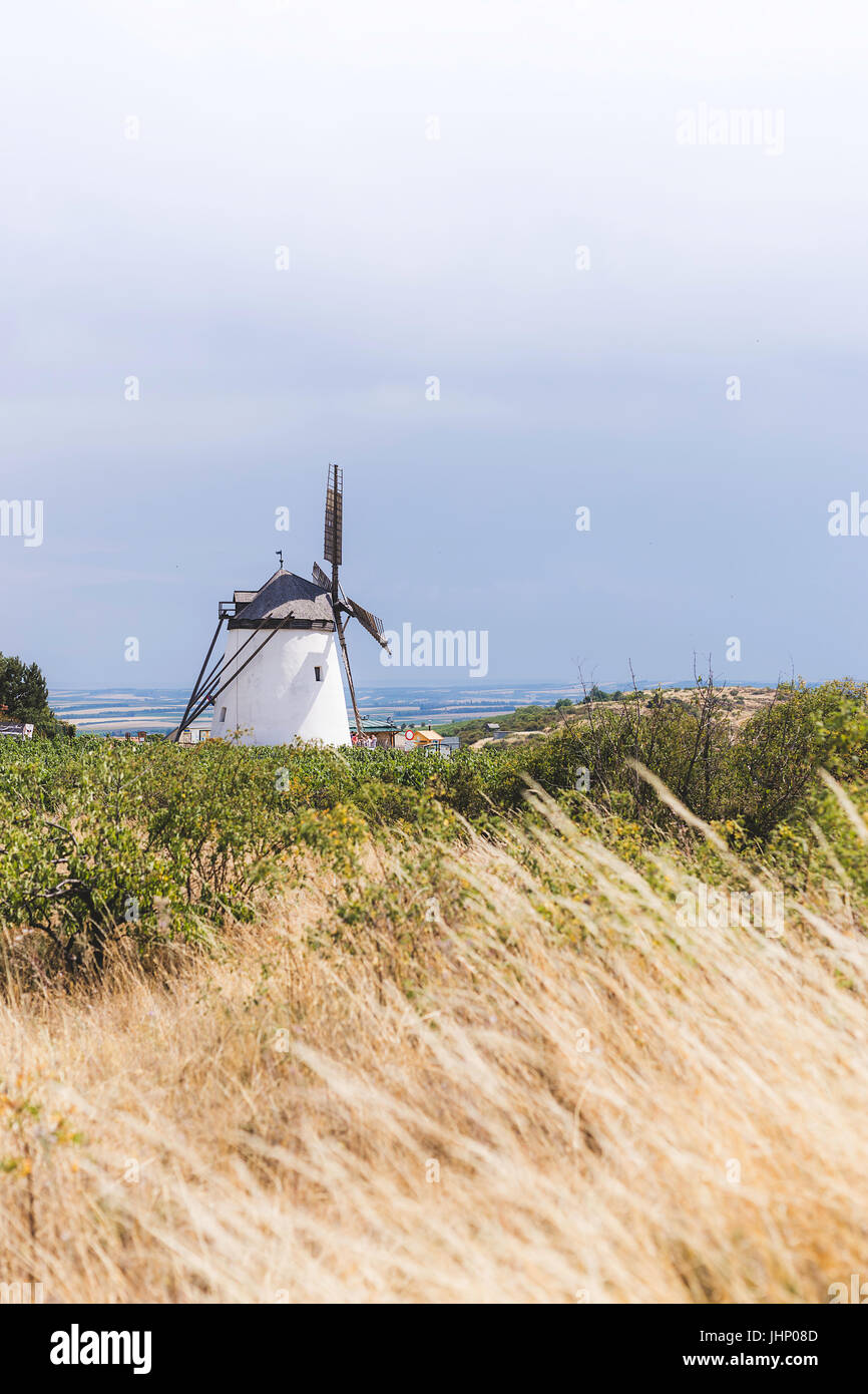 Austrias last fully functional windmill in the vineyards Stock Photo ...