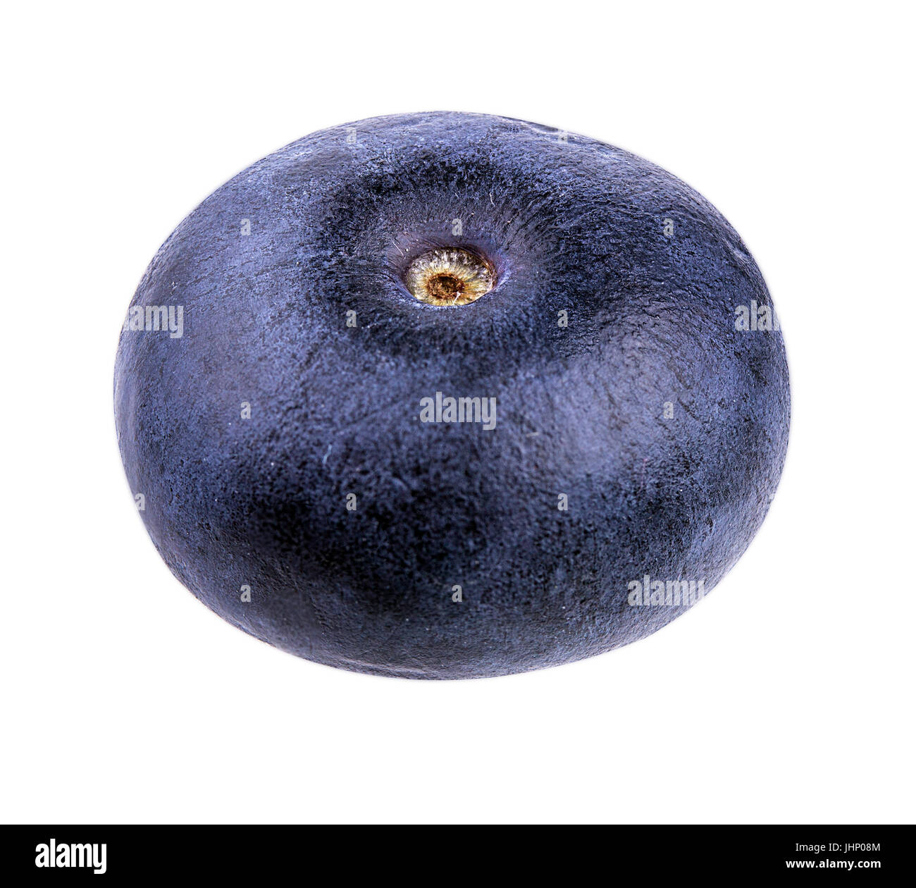 bilberry, blueberries isolated on white background Stock Photo - Alamy