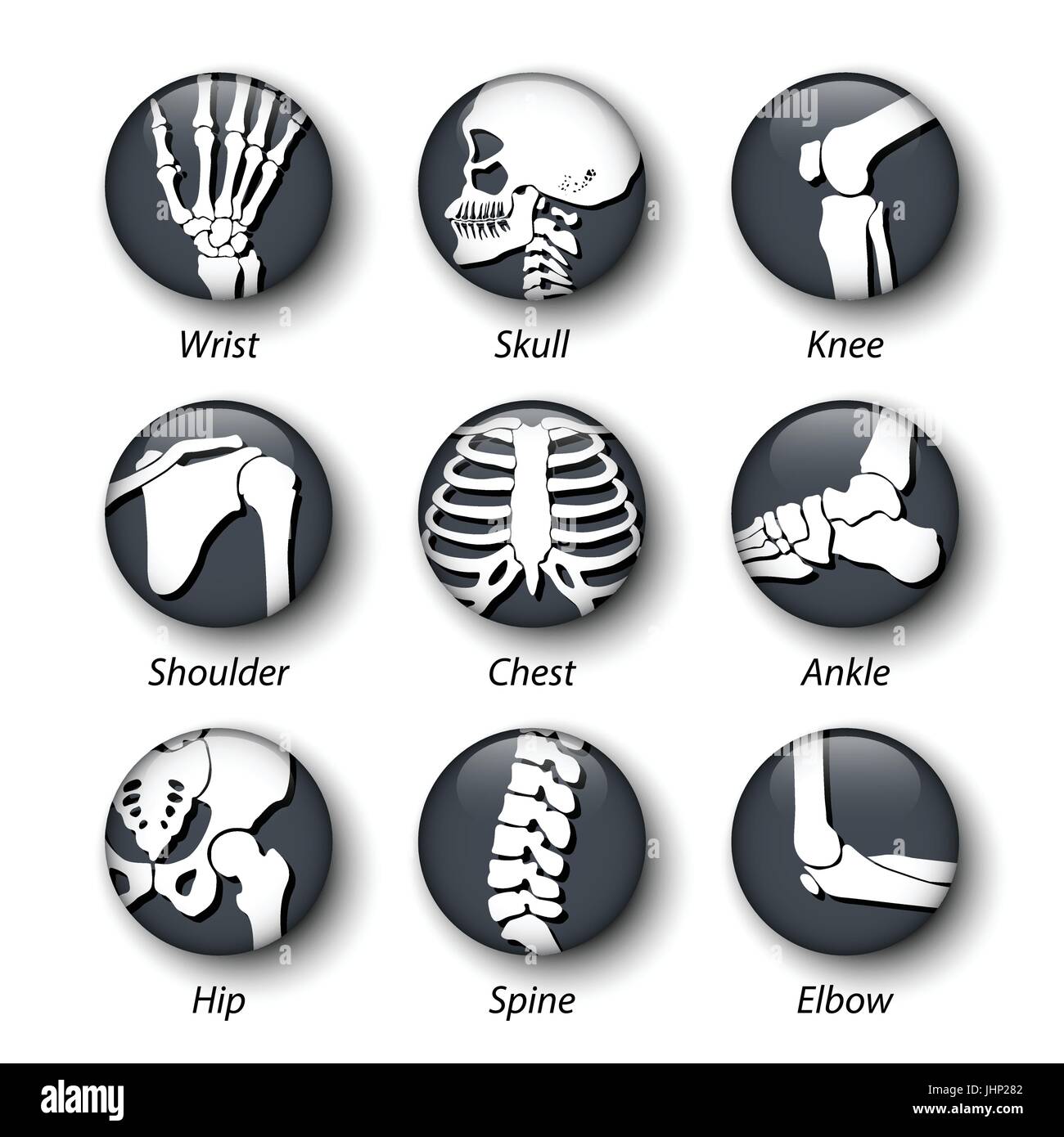 Skeleton system icon with bulging glass cover . Black and white design ...