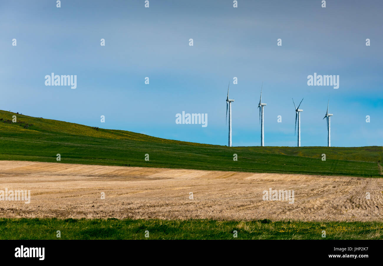Electrical power generting windmills in the prairies and foothills of ...