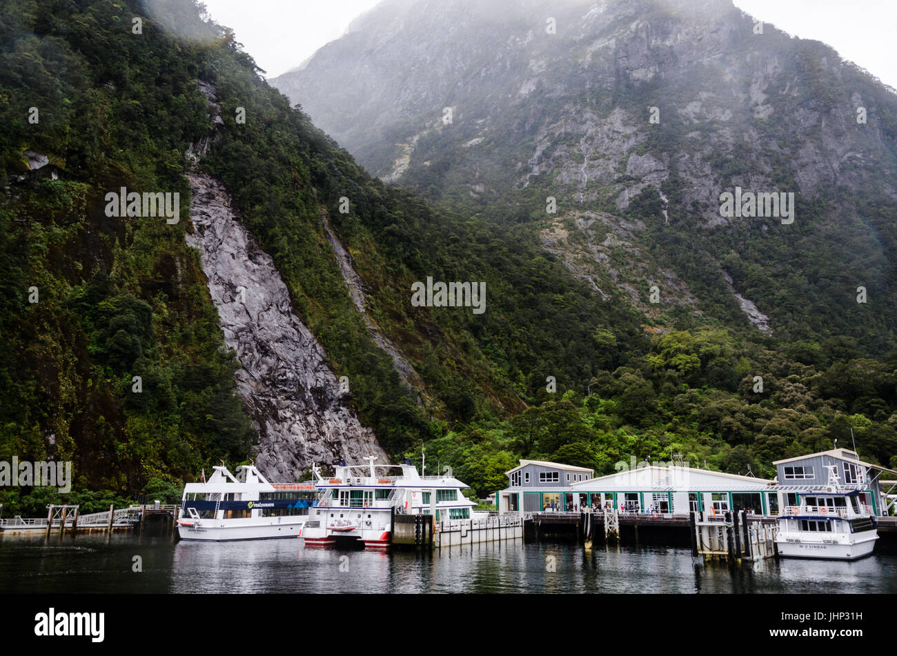 Boat Cruise Through Milford Sound, New Zealand Stock Photo - Alamy