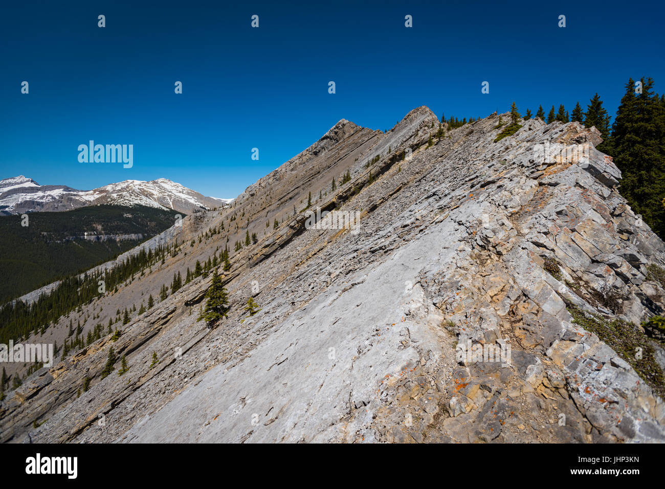 Nihahi ridge hi-res stock photography and images - Alamy
