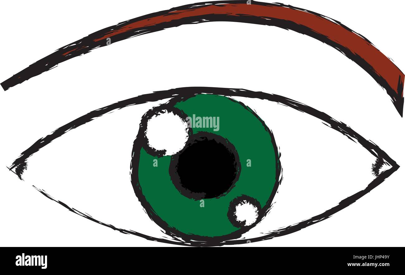 eye look optical vision eyebrow symbol Stock Vector Image & Art - Alamy