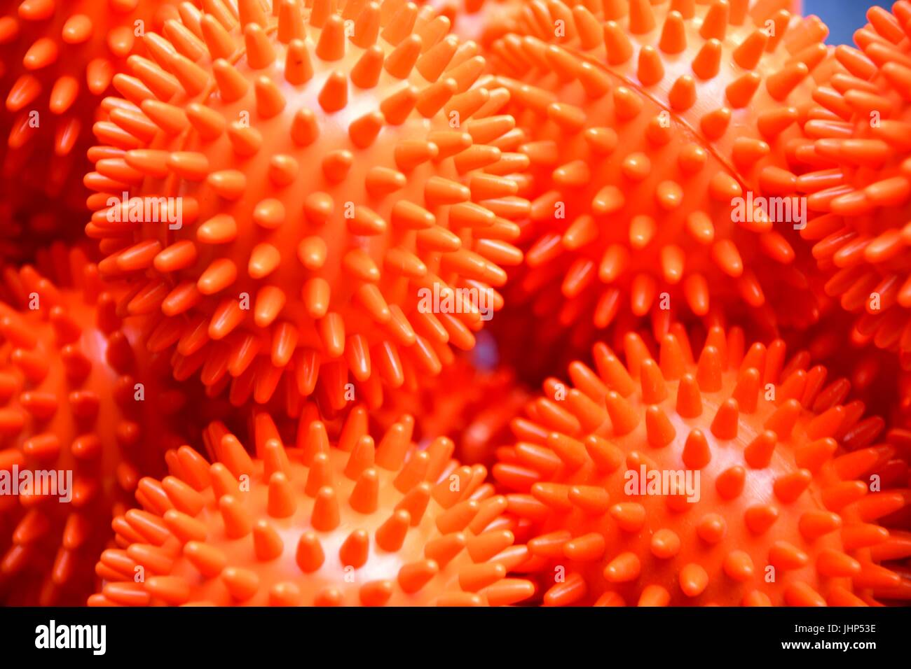 orange colorful prickly balls Stock Photo - Alamy