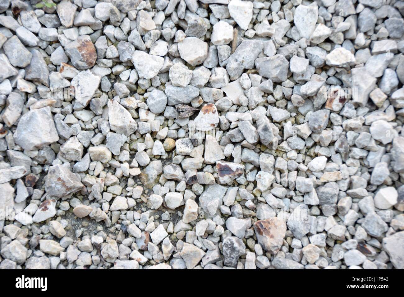 stony background with grey pebbles Stock Photo - Alamy