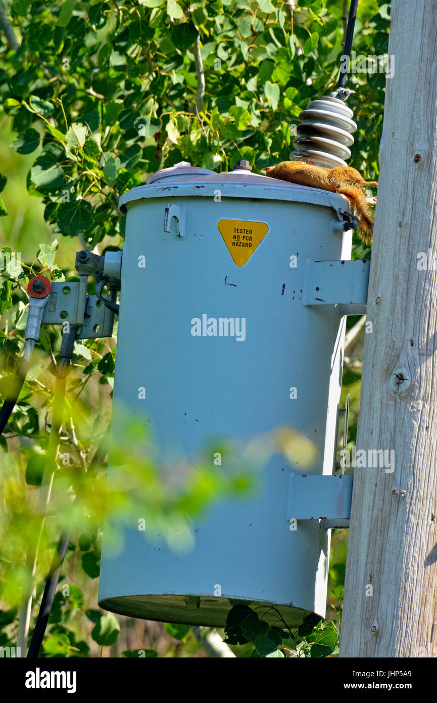 Electrical transformer hi-res stock photography and images - Alamy