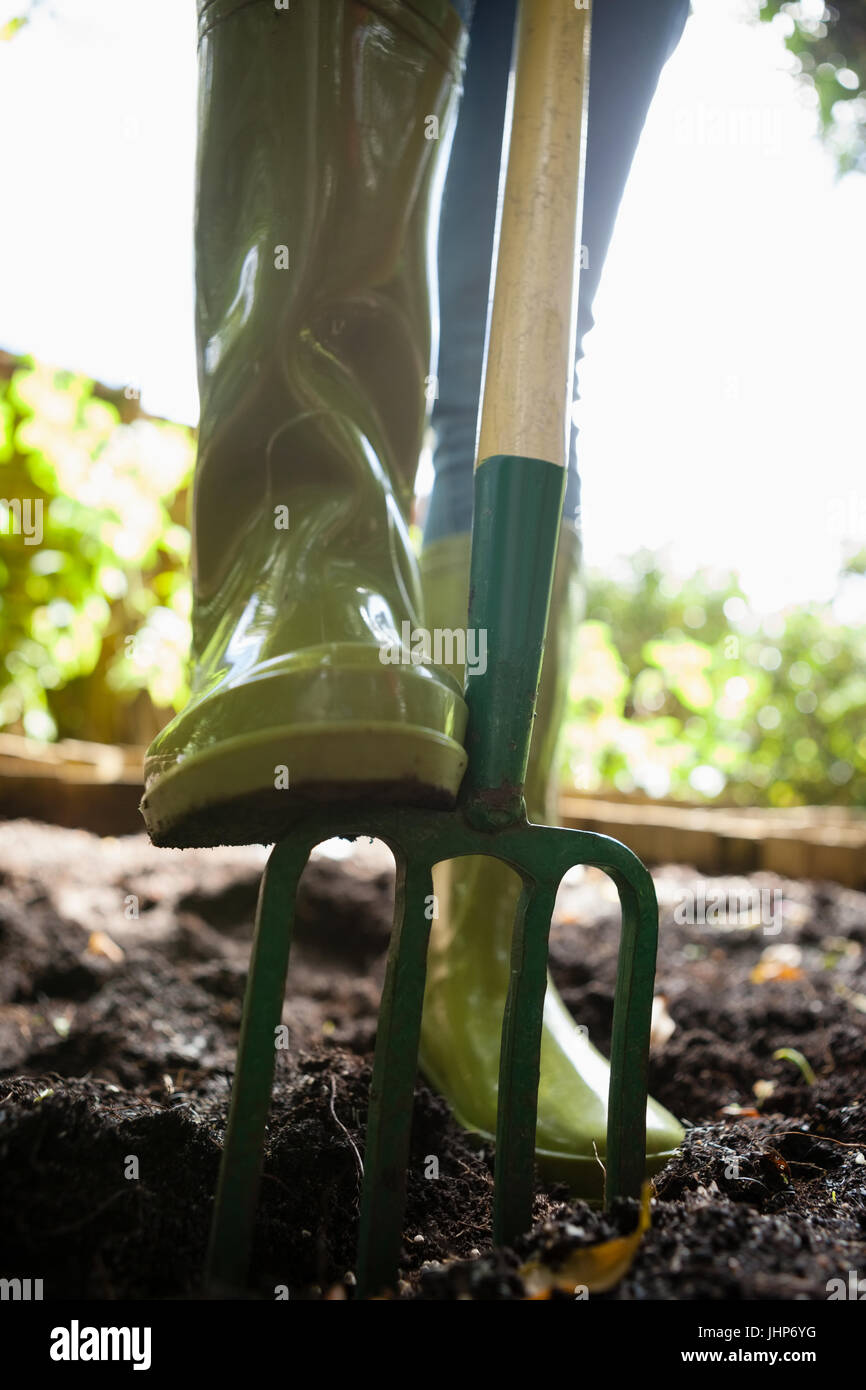Woman back ache gardening hi-res stock photography and images - Alamy