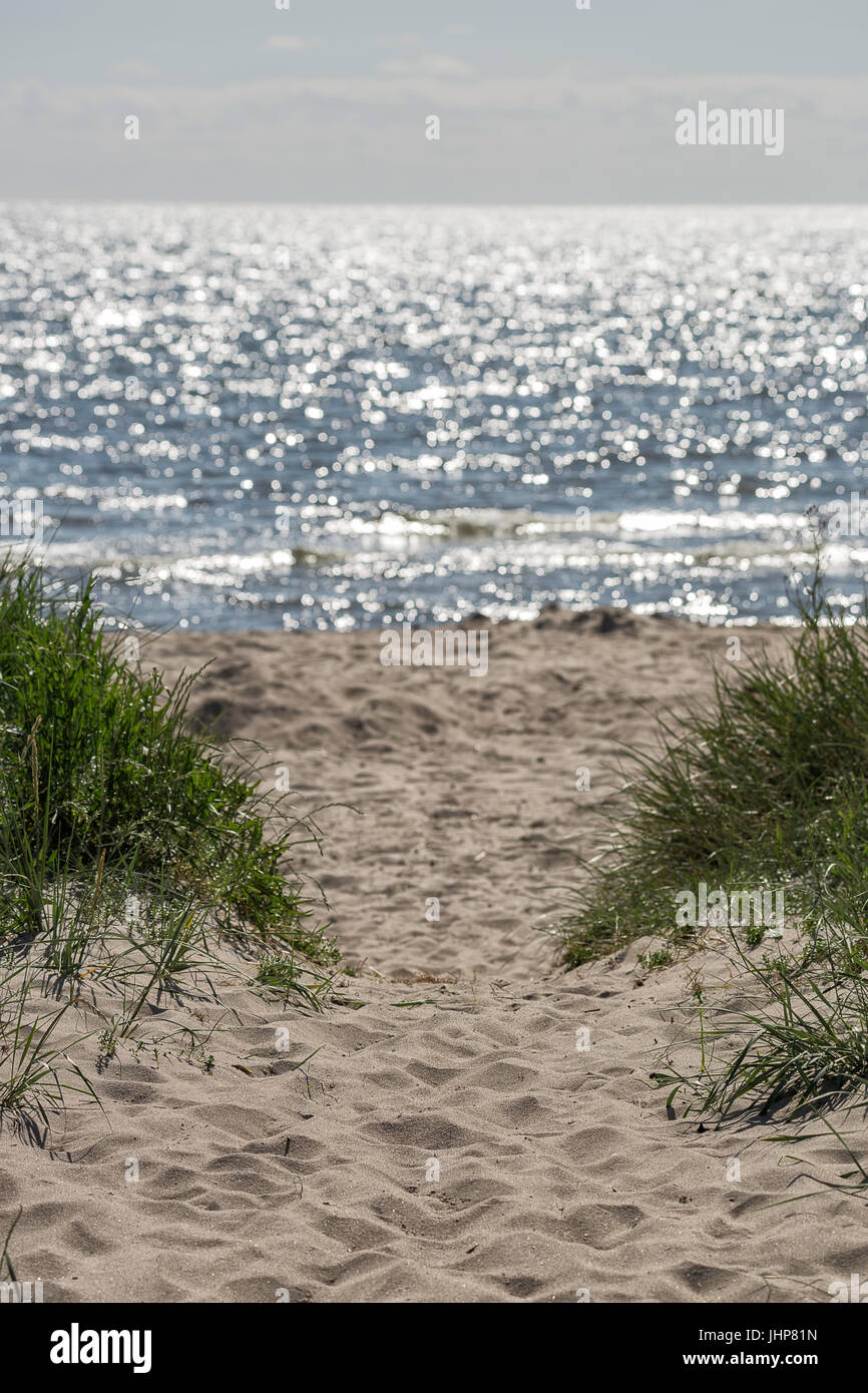 Sandy Beach with Grass and Ocean Stock Photo - Alamy