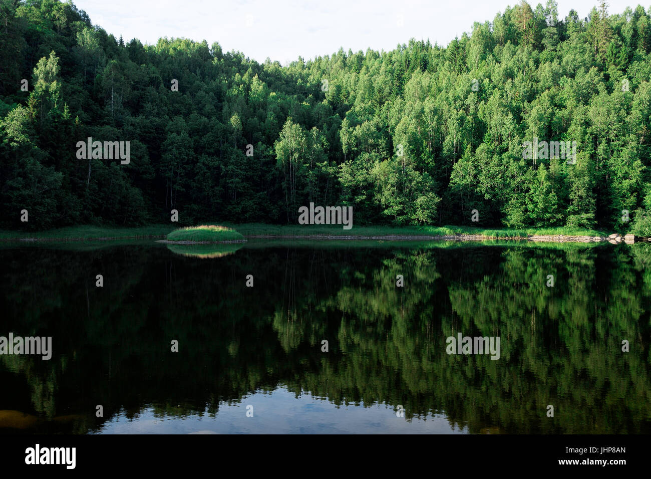 Broad-leaved Trees Reflecting in Water, Sweden Stock Photo - Alamy